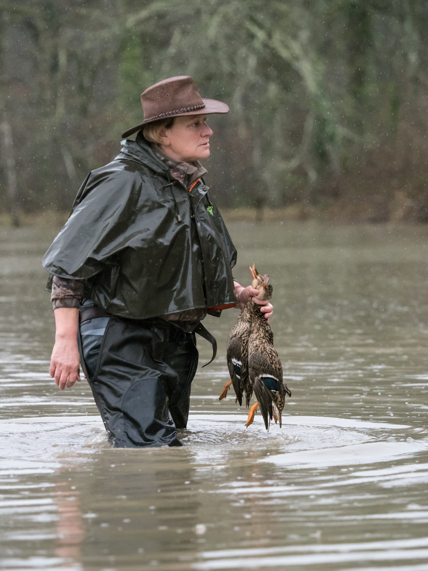 Photos des jours de chasse | Domaine de Mariaville